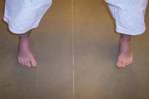 Dachi waza – Isshinryu