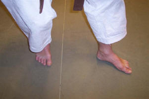 Dachi waza – Isshinryu